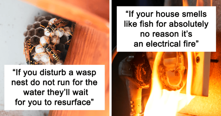 35 ‘Facts You Probably Didn’t Know That Could Save Your Life’