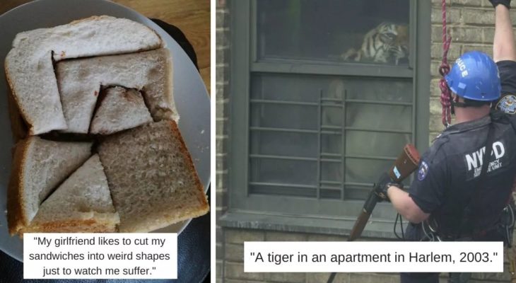 15+ Pictures That Will Leave You A Little Rattled