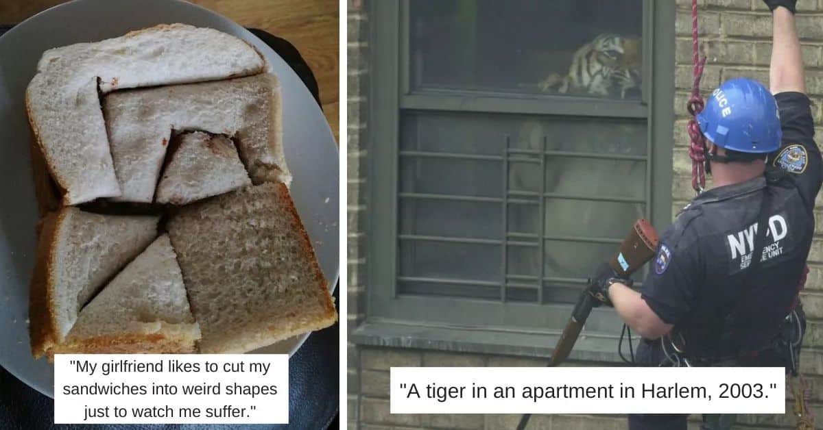 15+ Pictures That Will Leave You A Little Rattled
