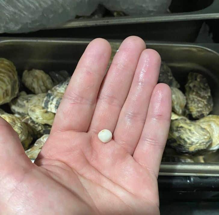 20 Things That May Seem Strange, But Are Completely Normal for Kitchen ... 20 Things That May Seem Strange, But Are Completely Normal for Kitchen ...