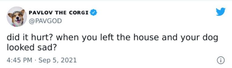 30 Of The Best “Did It Hurt?” Memes That Are Trending On Twitter