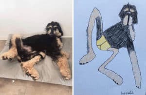 30 Animal Portraits Drawn So Bad That They Look Like Masterpieces