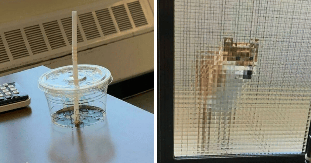 35 Pictures That Show Real Life Didn't Render Properly