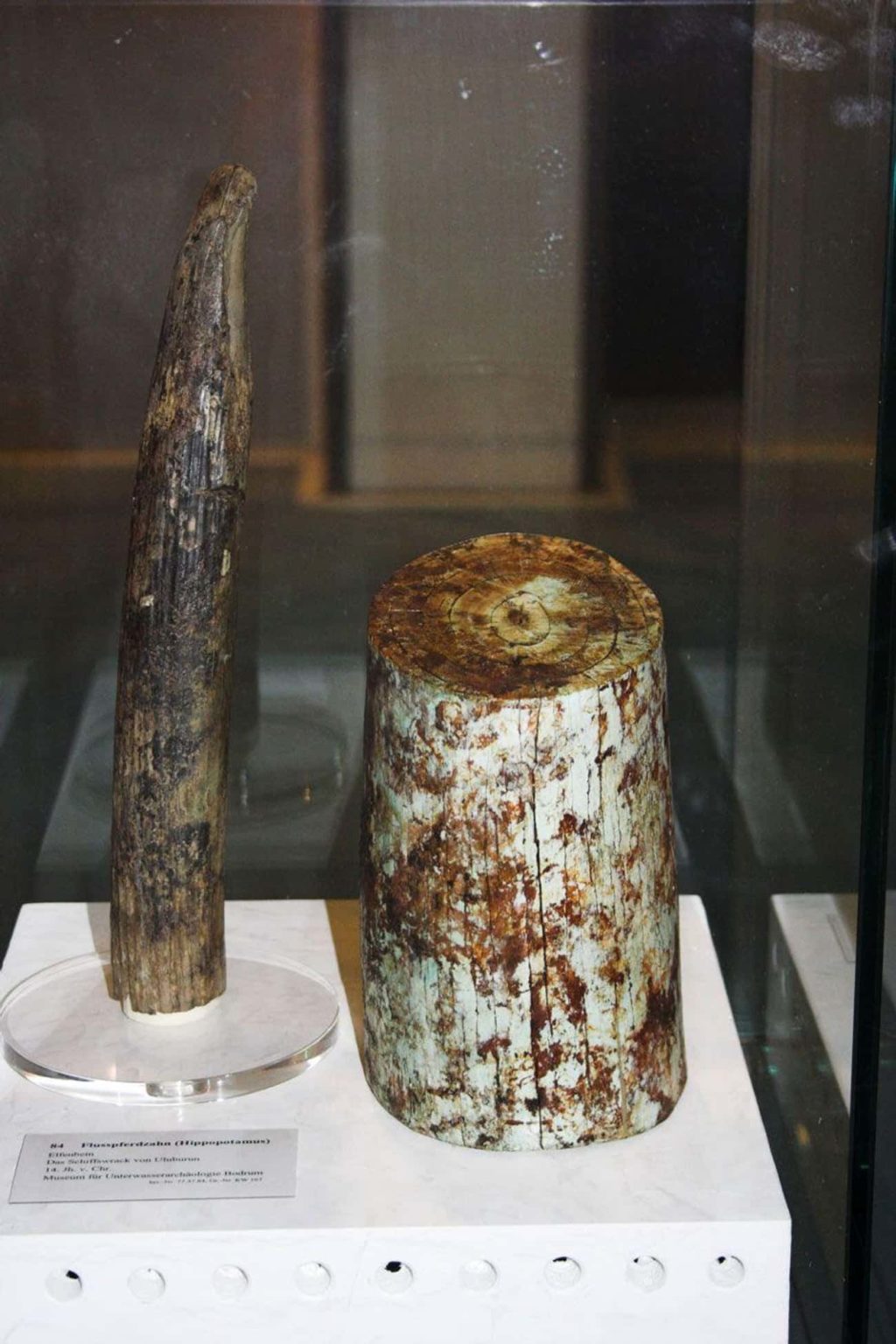 20 Relics Found Underwater That Are Sure to Make Us Go "Woah!"
