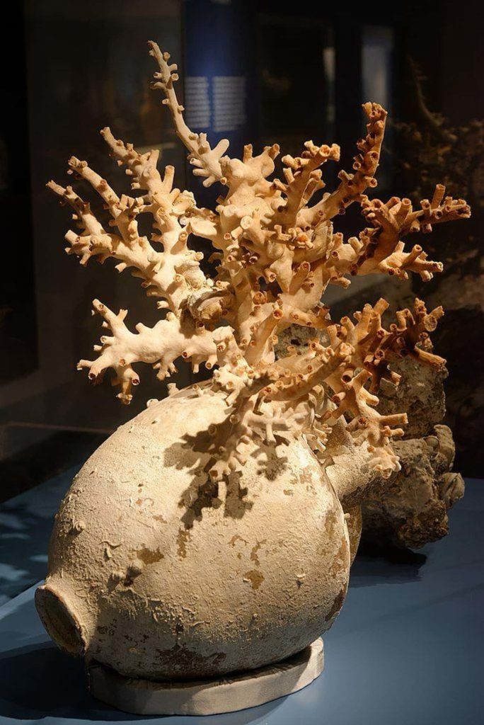 20 Relics Found Underwater That Are Sure to Make Us Go "Woah!"