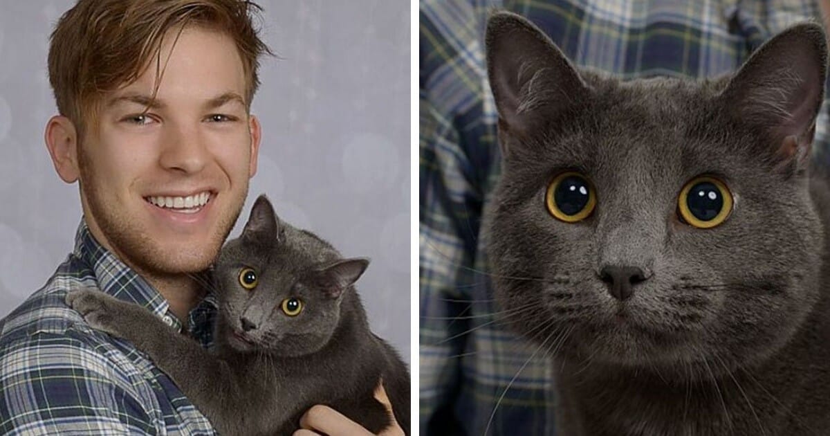 This Guy's Photoshoot With His Cat Looks Like Engagement Pictures