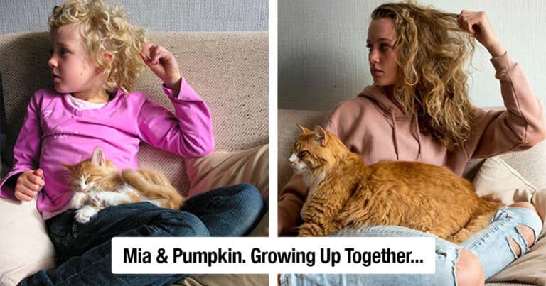 30 Transformations From Kittens to Cats That Are Just Amazing