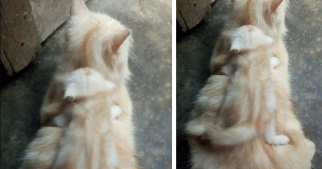 14 Oddly Satisfying Pictures Of Things Matching With Each Other Perfectly