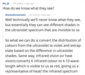 Scientists Reveal How Birds See Things As Compared to Humans