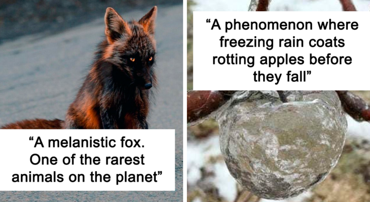35 Interesting Facts About Practically Everything You Might Not Have ...