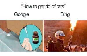 These 20 Google vs. Bing Memes Are Hilariously Accurate