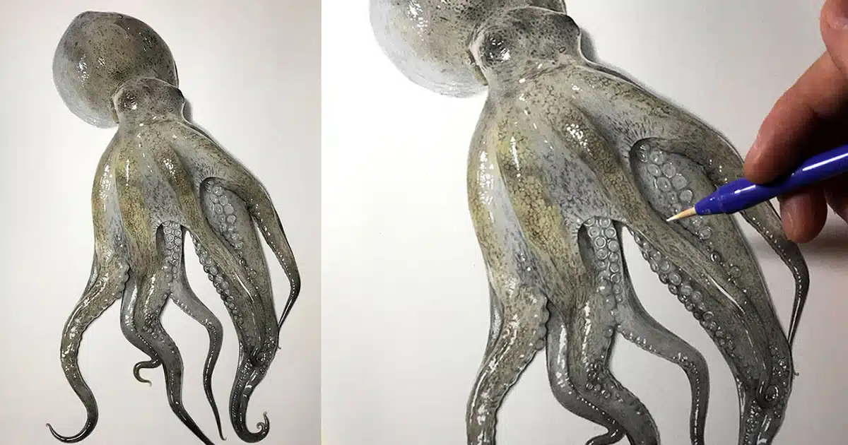 Here's How You Can Draw a Realistic Octopus, As Shown By This Japanese ...