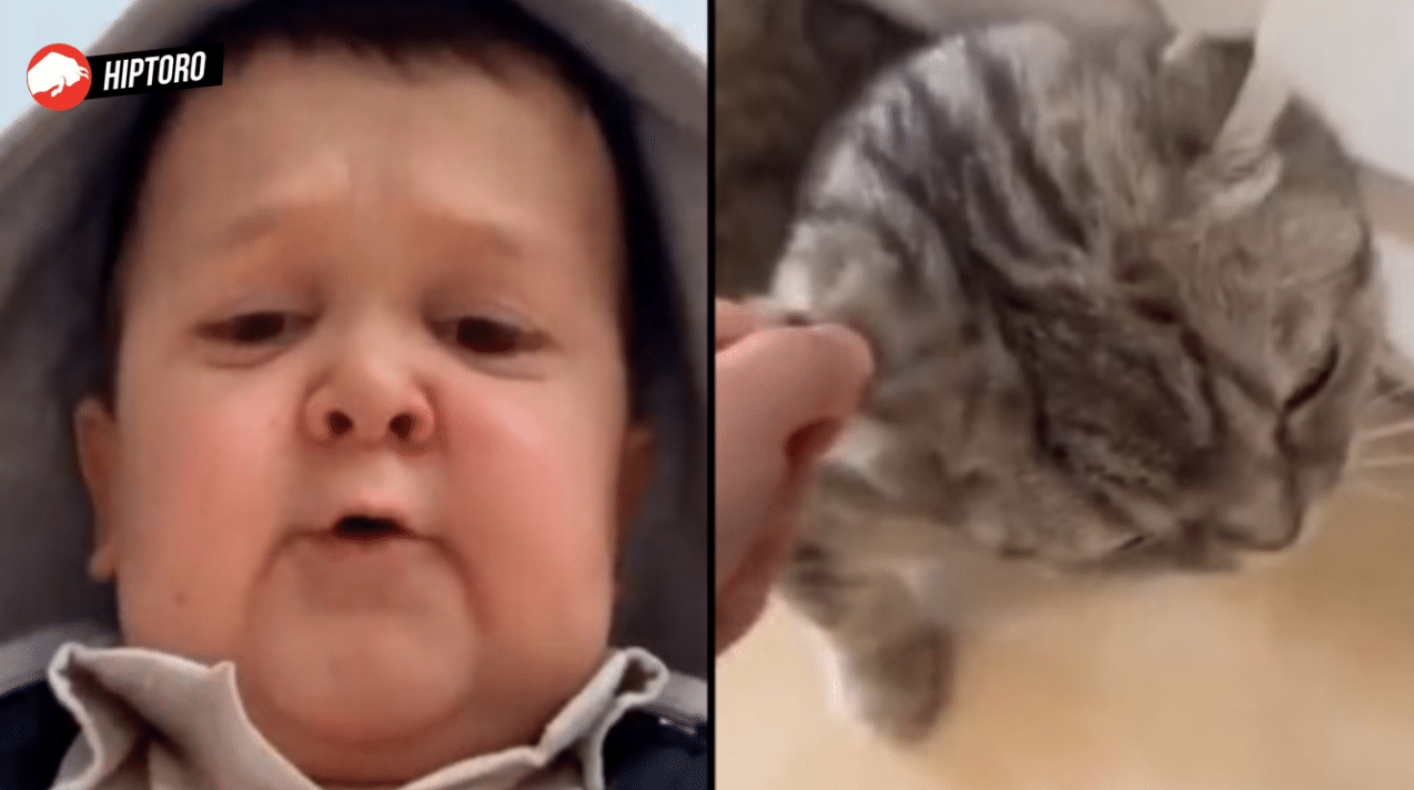 Hasbulla reacts after being accused of abusing his Cat