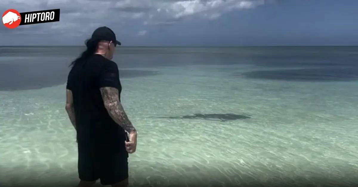 Undertaker Defends Wife Michelle McCool From a Possible Shark Attack ...