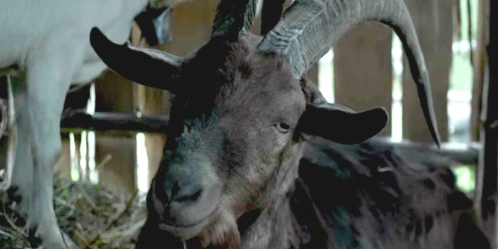 How 'The Nun 2's Goat Demon Shook The Conjuring Universe Explained