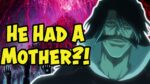 Bleach Explained: Breaking Down the Secrets: What Fans Must Know About ...