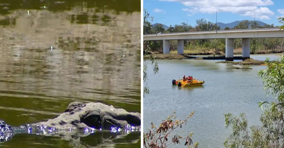 Man Goes Missing After Jumping Into Croc-Infested Fitzroy River While ...