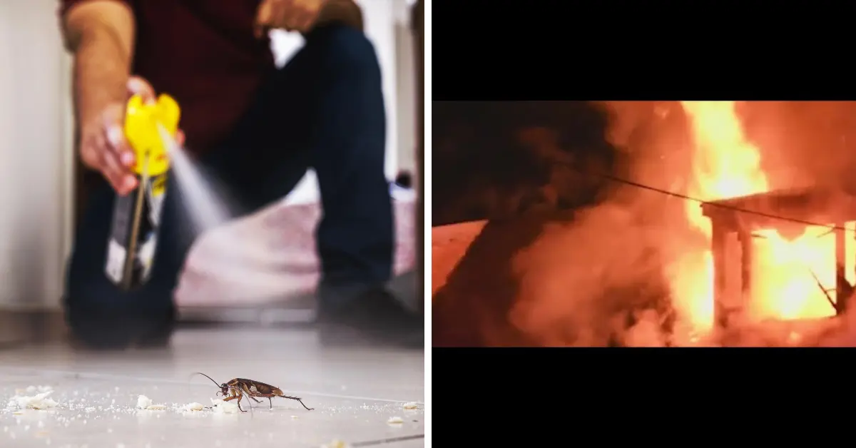 Man Blows Up His Apartment Trying To Kill Cockroach With Insecticide