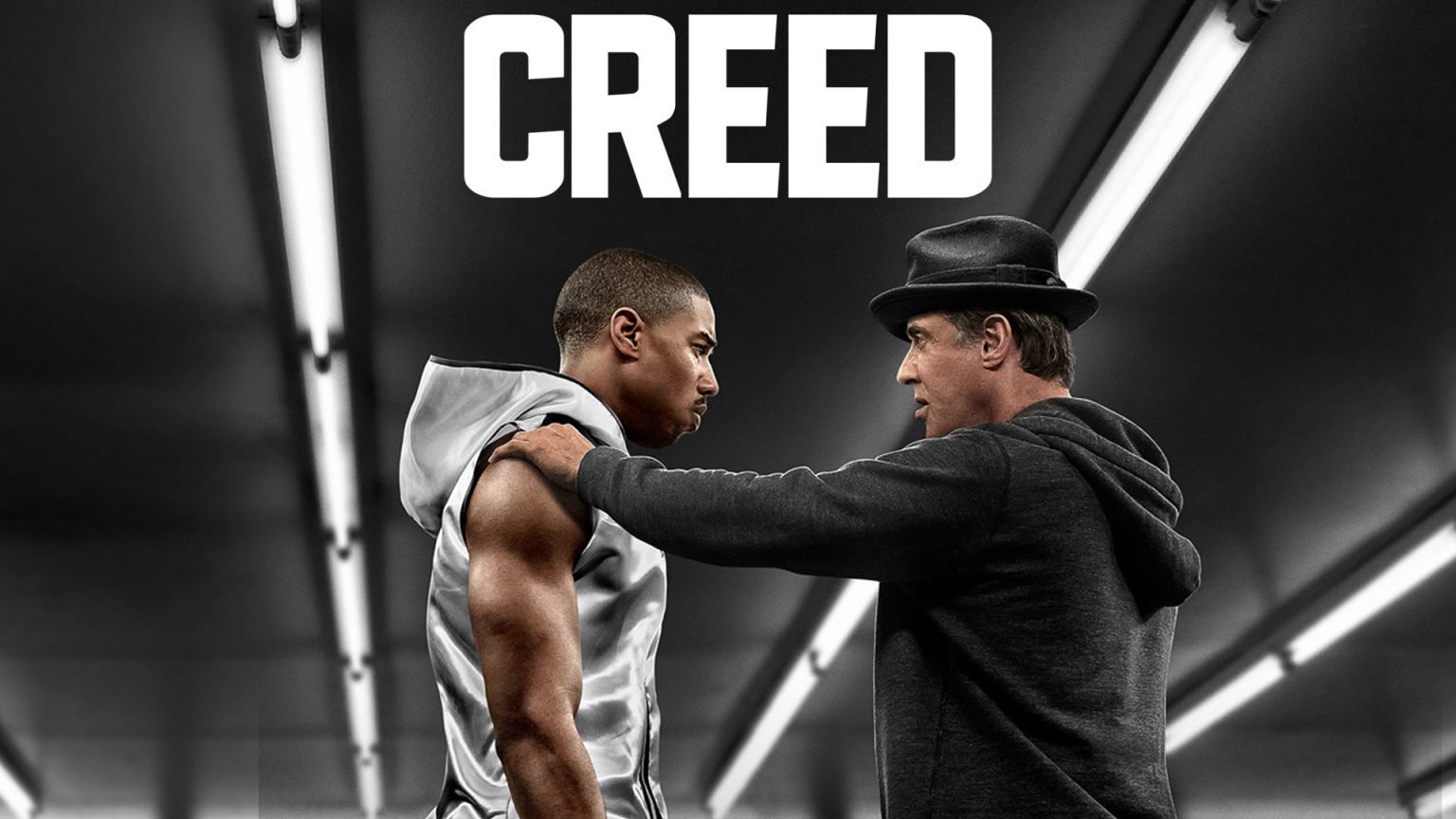 Will Sylvester Stallone Return in Michael B. Jordan's Creed 4? Release ...
