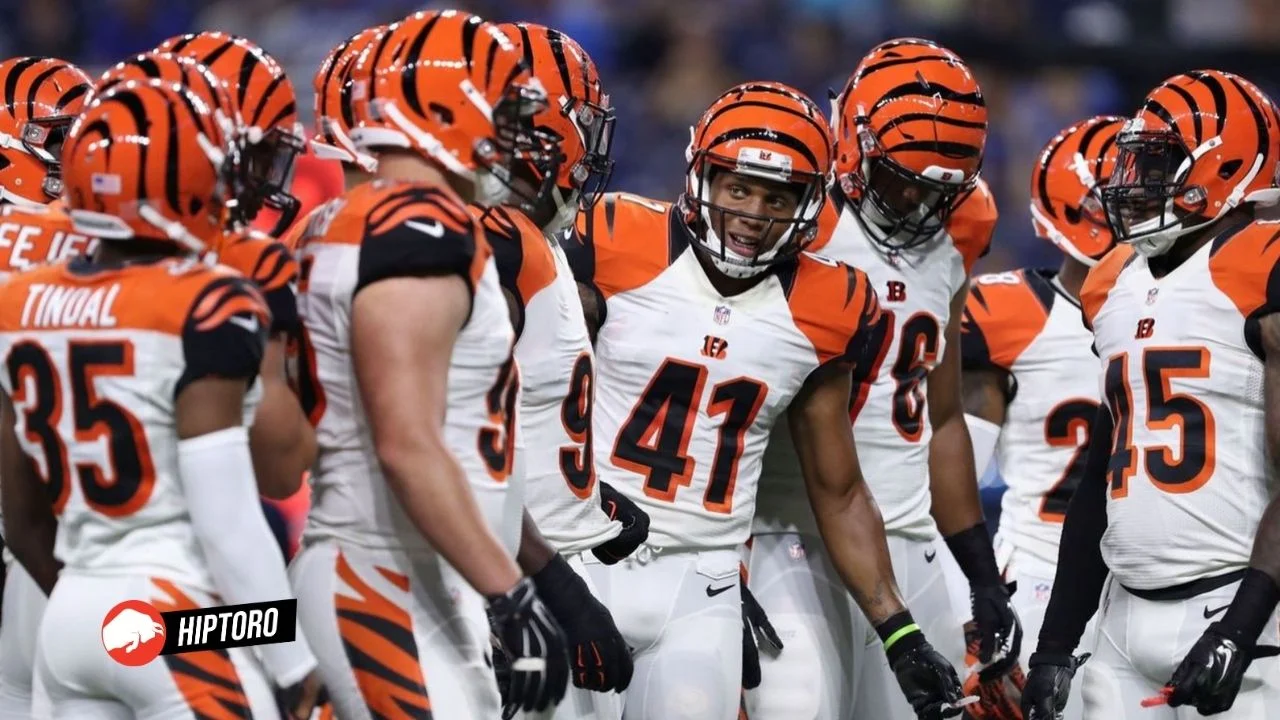 NFL News: Will Tee Higgins Play for Cincinnati Bengals in 2024 ...