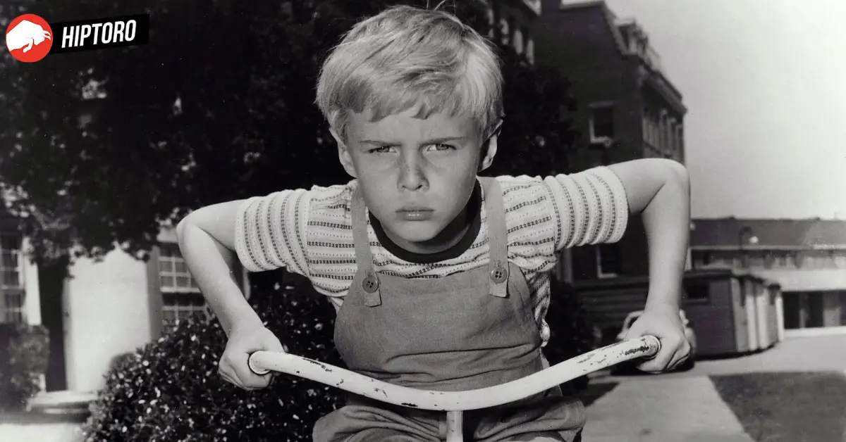 Who is Jay North? All About The 'Dennis the Menace' Actor
